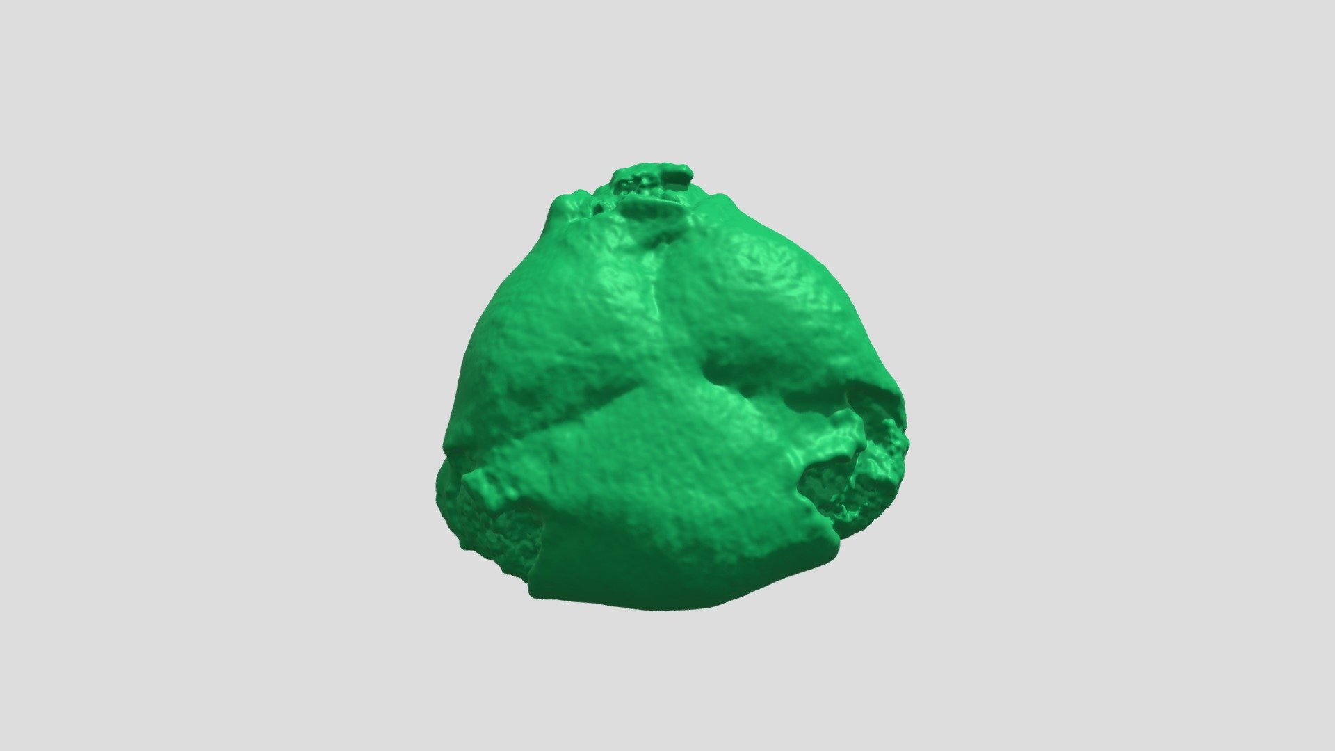 Sweet cherry (Prunus avium) pollen - 3D model by Cardiff University ...
