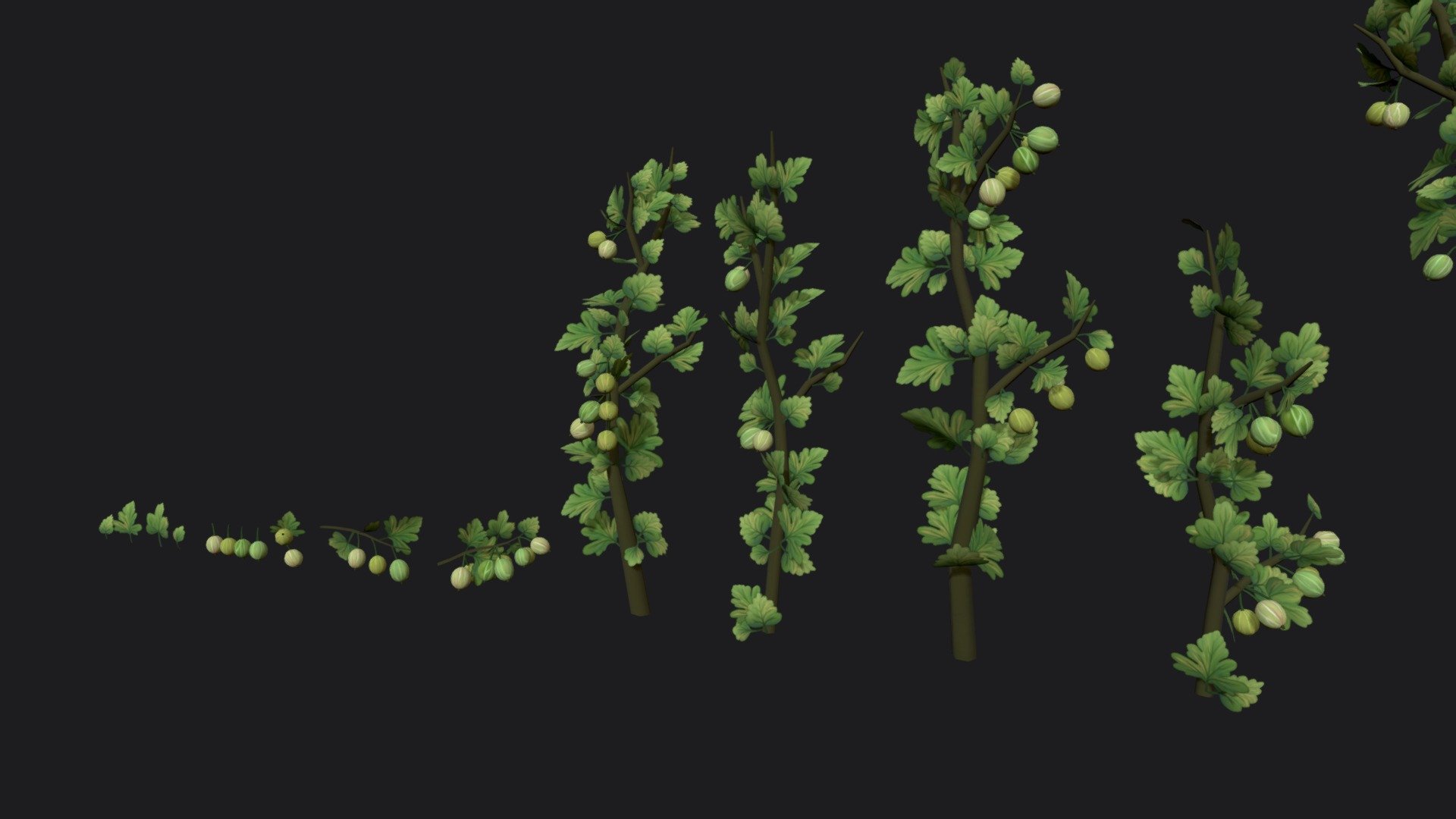 Gooseberry sprig stylized plant - Buy Royalty Free 3D model by Enkarra ...