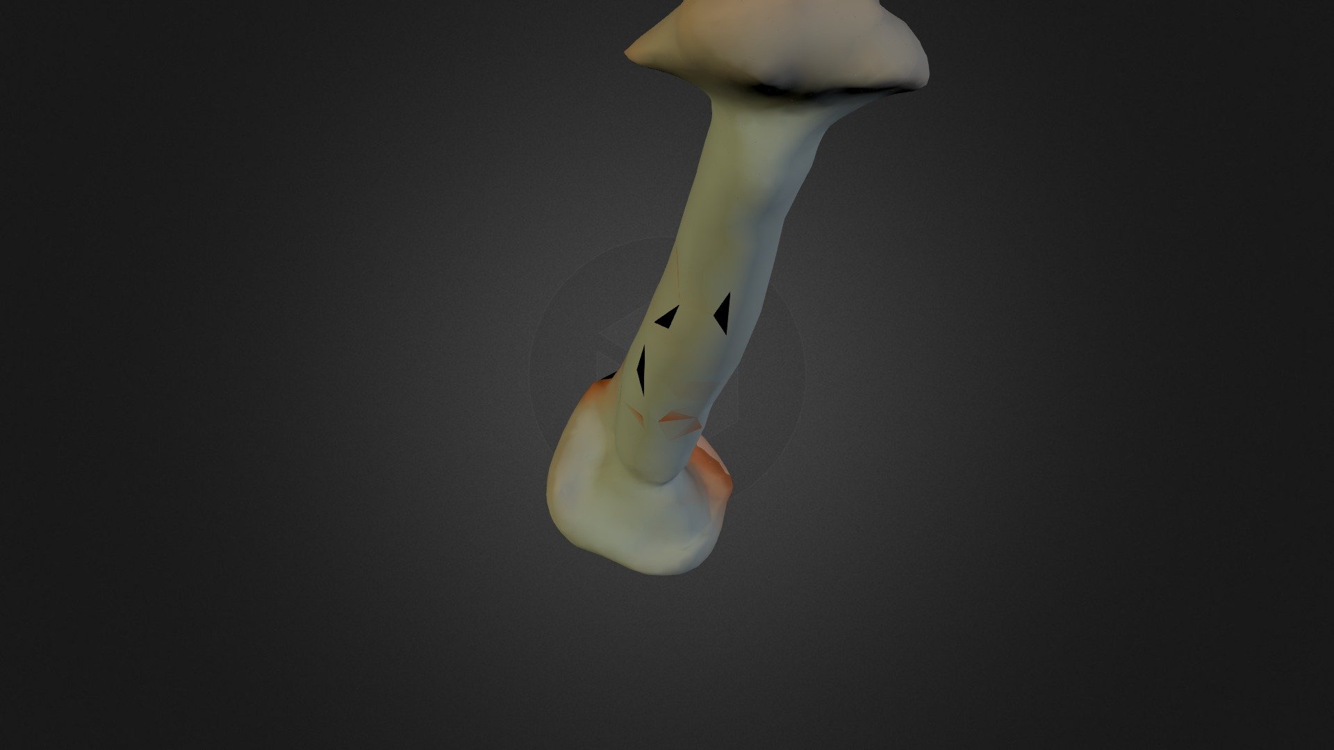 Bone - 3D model by leopoly [a596763] - Sketchfab