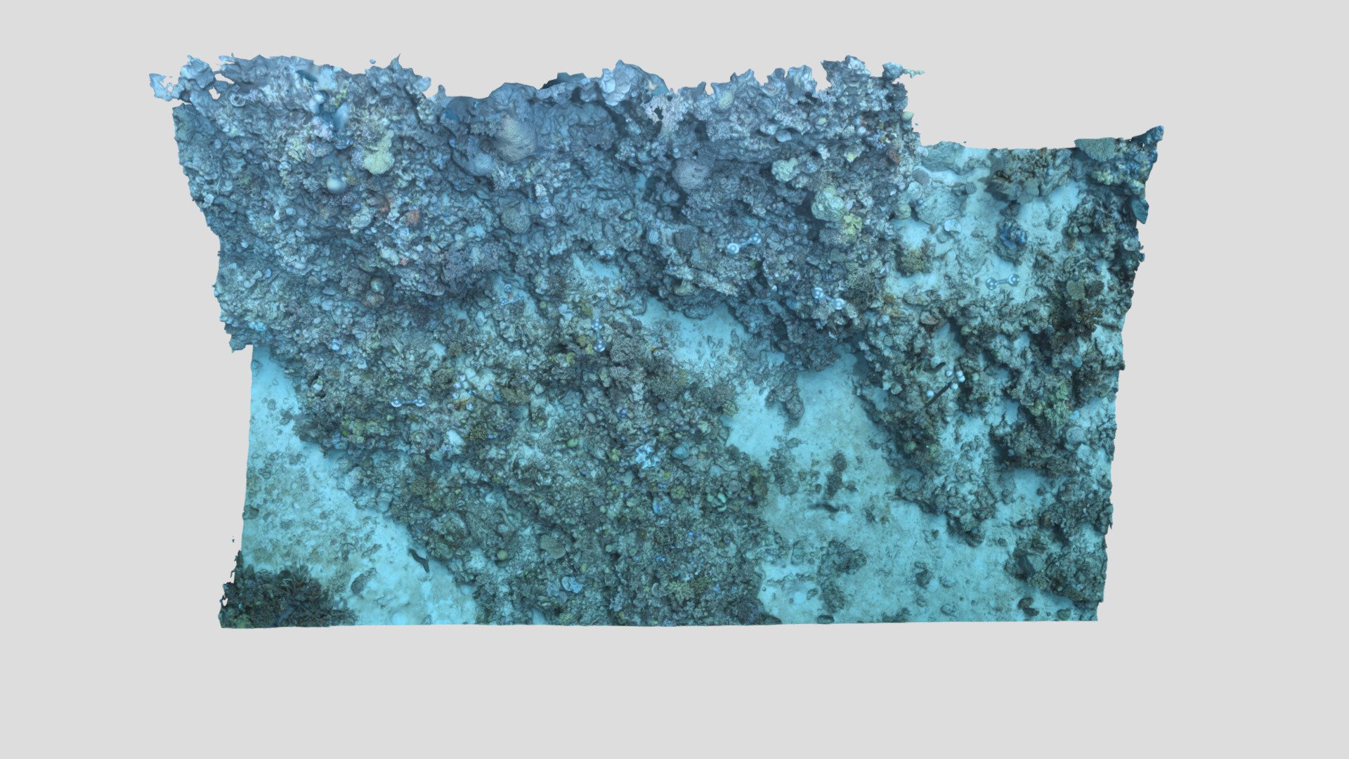 Davies_FL1D_P1_202201 - 3D model by EcoRRAP (@AIMSEcoRRAP) [a597ae8 ...