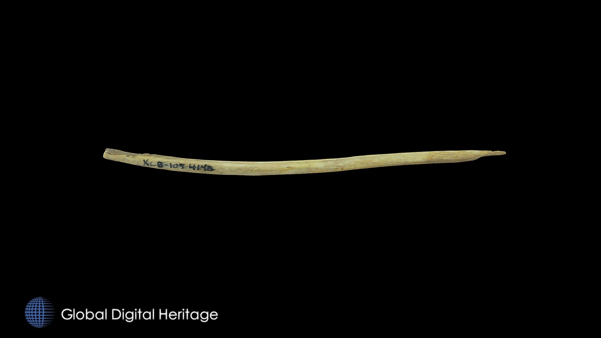 Bird Bone Awl, XCB-105-4145 - Download Free 3D model by Global Digital ...