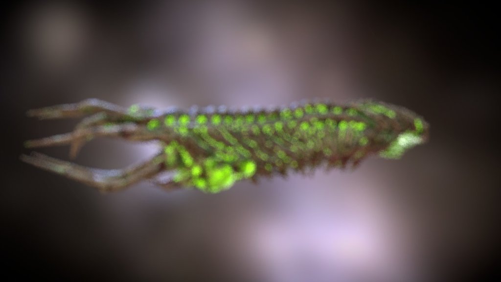 Alien_test - 3D model by ArboledaRT (@Arboleda_3Dart) [a5a1225] - Sketchfab