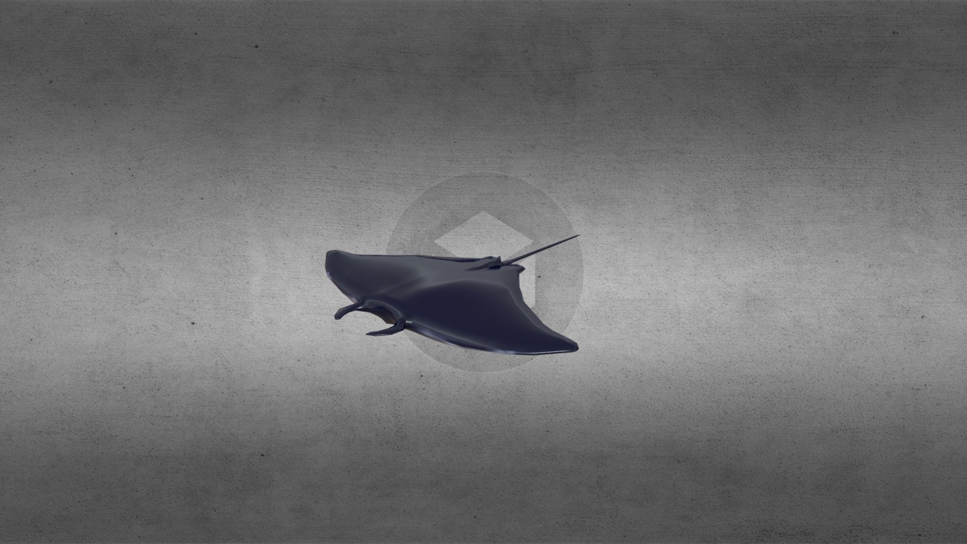 Manta Ray - Download Free 3D model by s4306270 [a5a4943] - Sketchfab