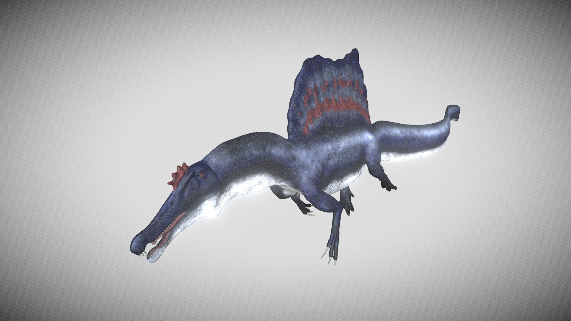 Spinosaurus - 3D model by Kakeru Fujimiya (@K_Fujimiya) [a5a71a9 ...