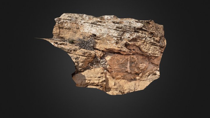 Paleosol 3D models - Sketchfab