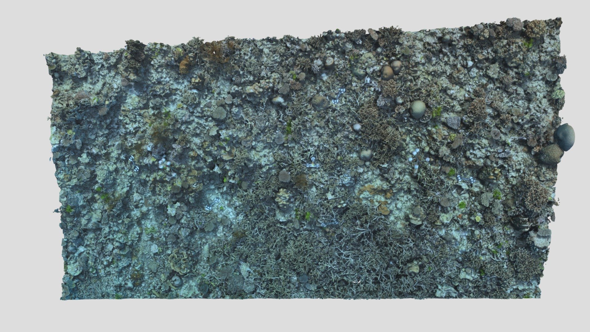 Heron_FR2S_P4_202205 - Download Free 3D model by EcoRRAP (@AIMSEcoRRAP ...