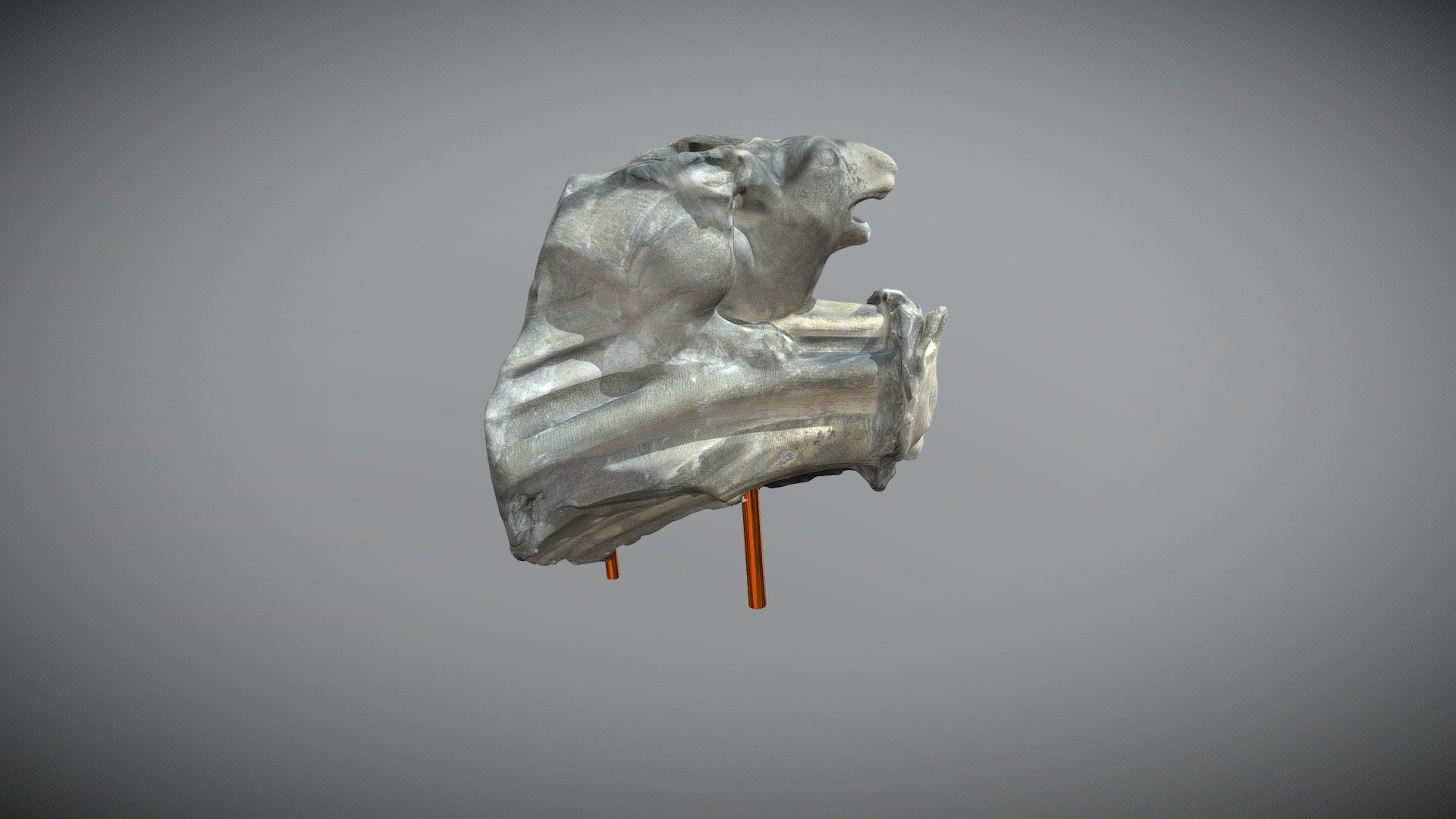 Hcm 036 Rabbit test - Download Free 3D model by DermotSheehan [a5adfd7 ...