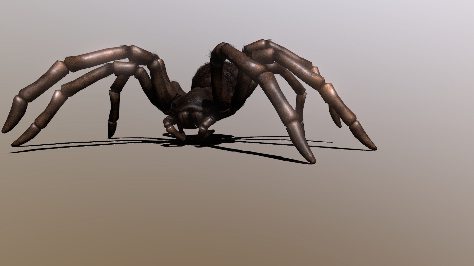 Theraphosa Blondi - Download Free 3D model by SpiderBight [ArachnoBoy ...