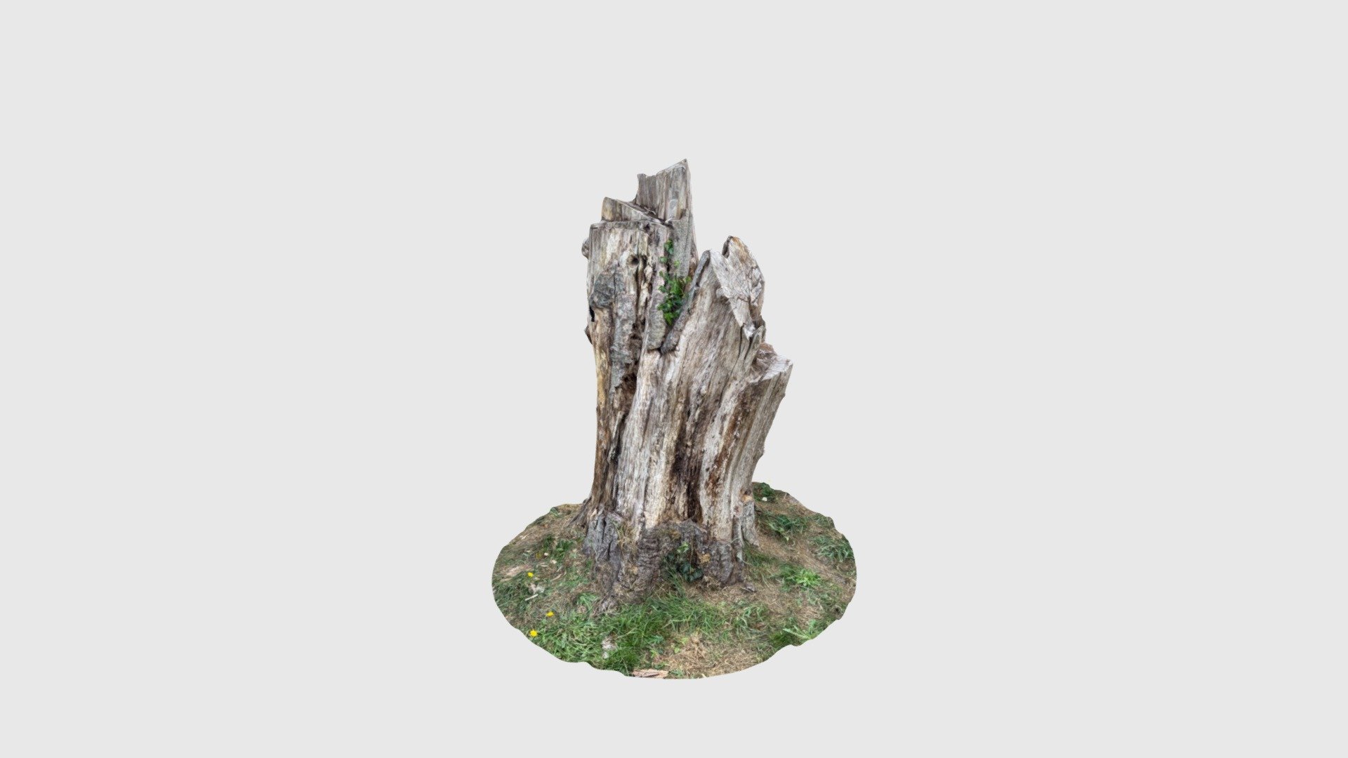 Tree Stump - Download Free 3D model by Flyingpiggse [a5b9147] - Sketchfab