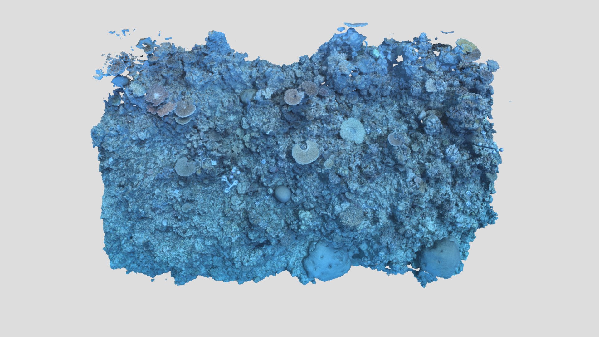 Davies_BA2S_P1_202101 - 3D model by EcoRRAP (@AIMSEcoRRAP) [a5bdd74 ...