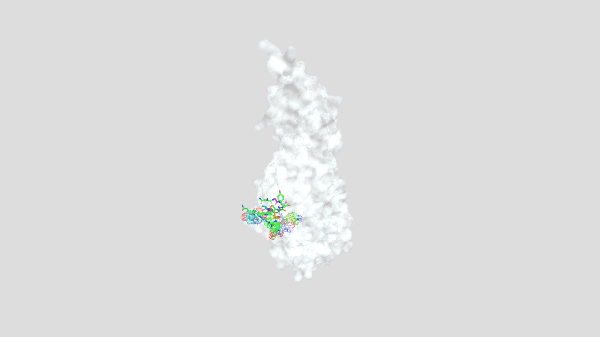 SARS-CoV-2 Papain-like protease - 3D model by jessrh [a5becbf] - Sketchfab