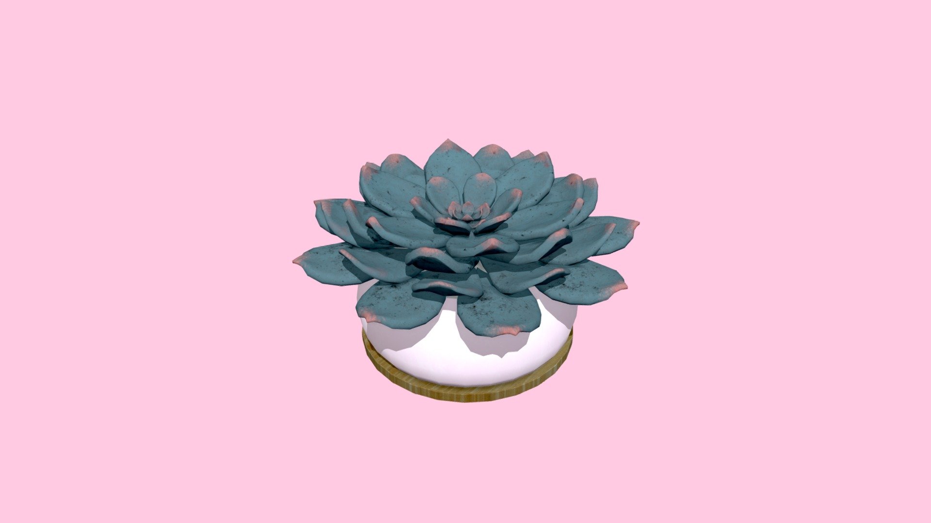 Succulent 3 - 3D model by Catherine B (@CatherineB) [a5c7e8b] - Sketchfab