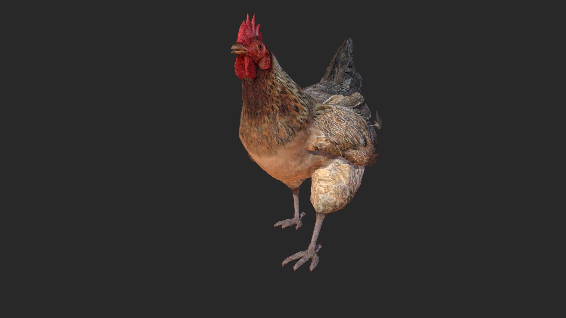 Chicken with Animation - 3D model by Michał Zomerski (@michaelangelo666 ...