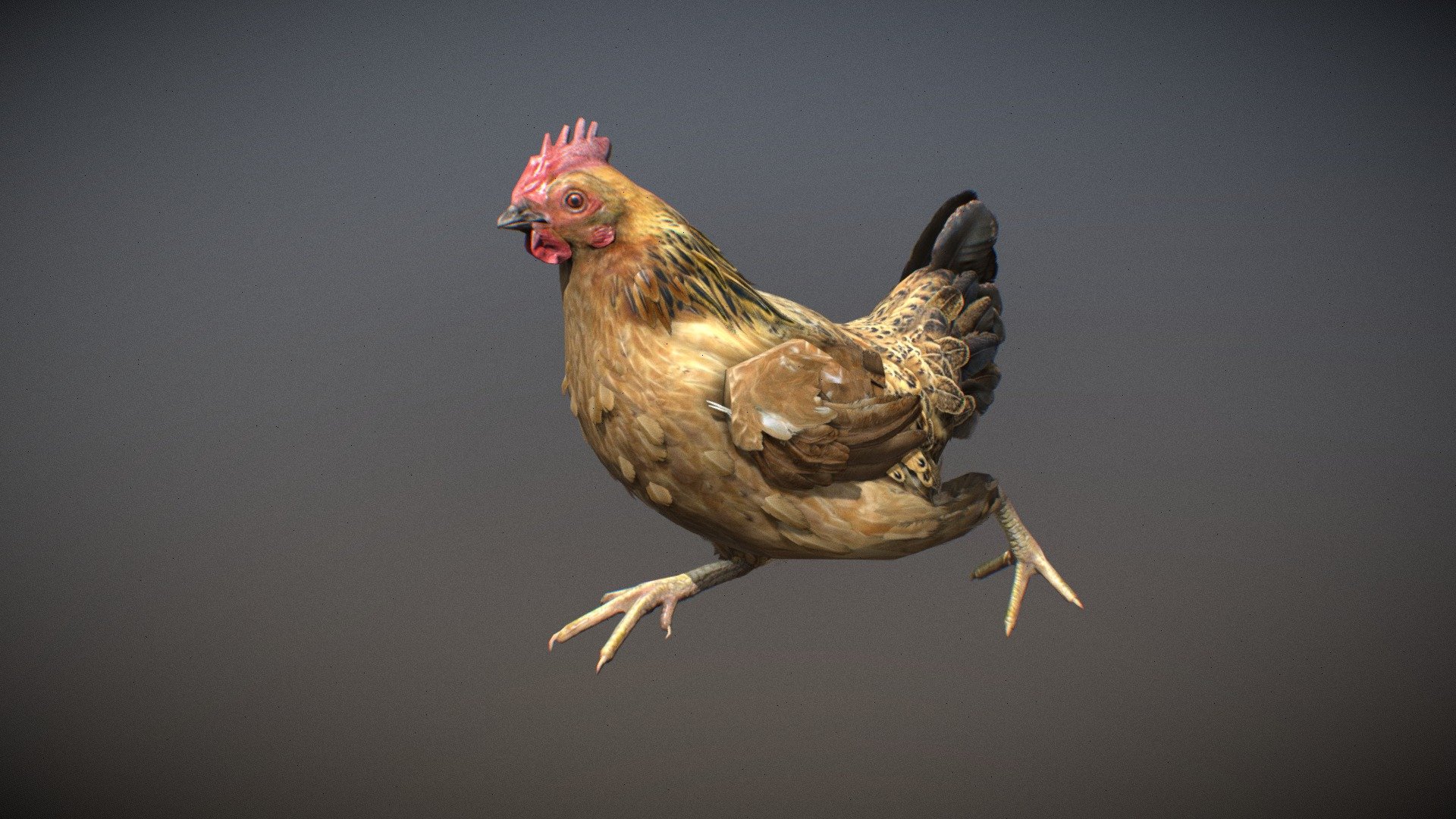 Animalia - Chicken (female) - 3D model by GiM (@GamesInMotion) [a5dd180 ...