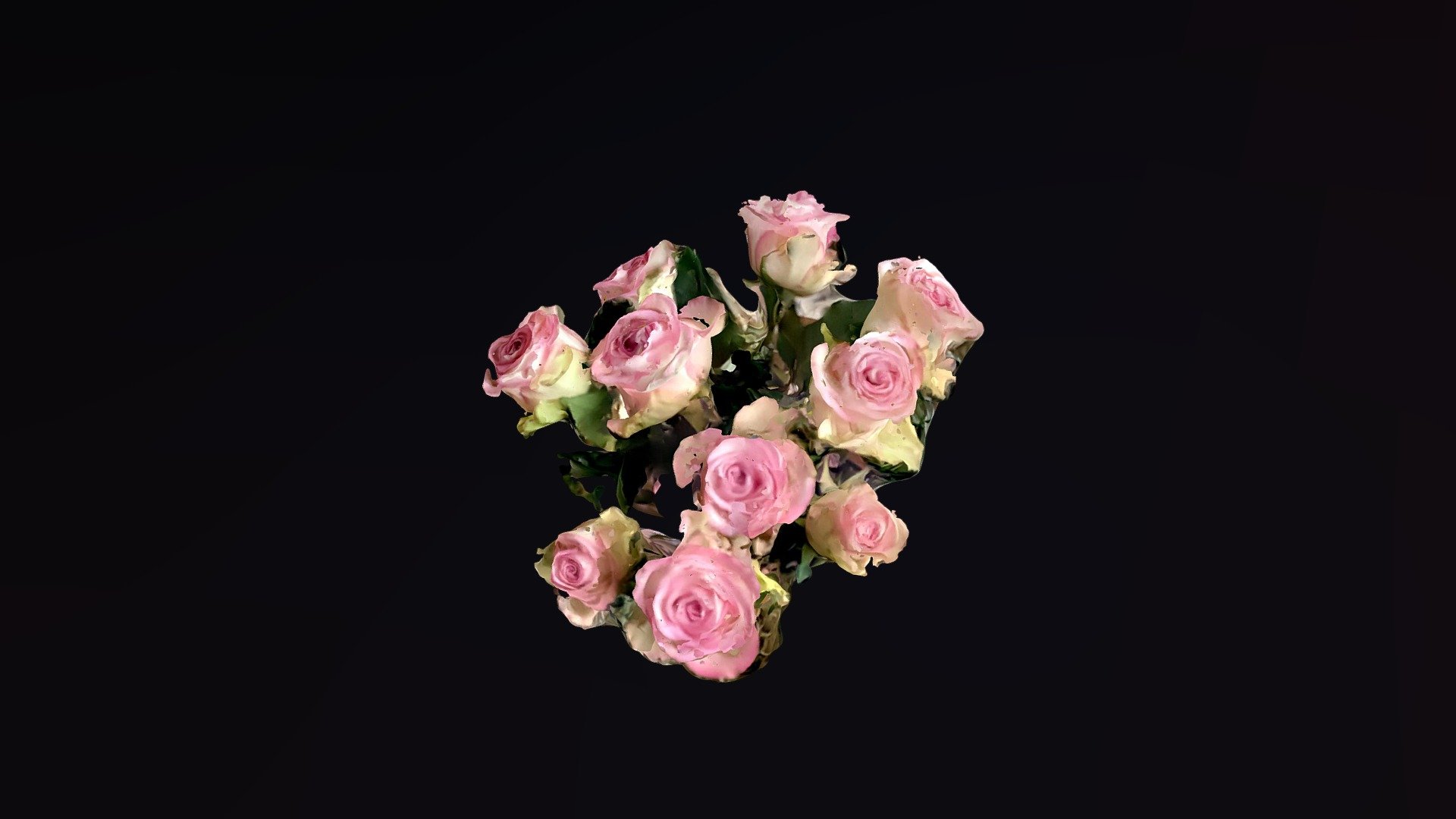 Roses - 3D model by SurWdB [a5e482a] - Sketchfab
