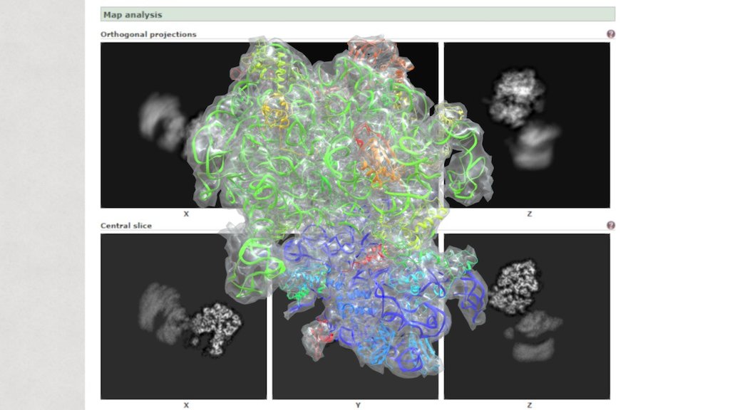 EMDB › EMD-3581 - 3D model by Interactive 3D Data (@proteinsimulation ...