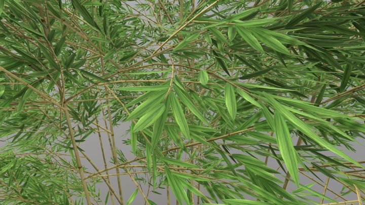 Bamboo-stick 3D models - Sketchfab