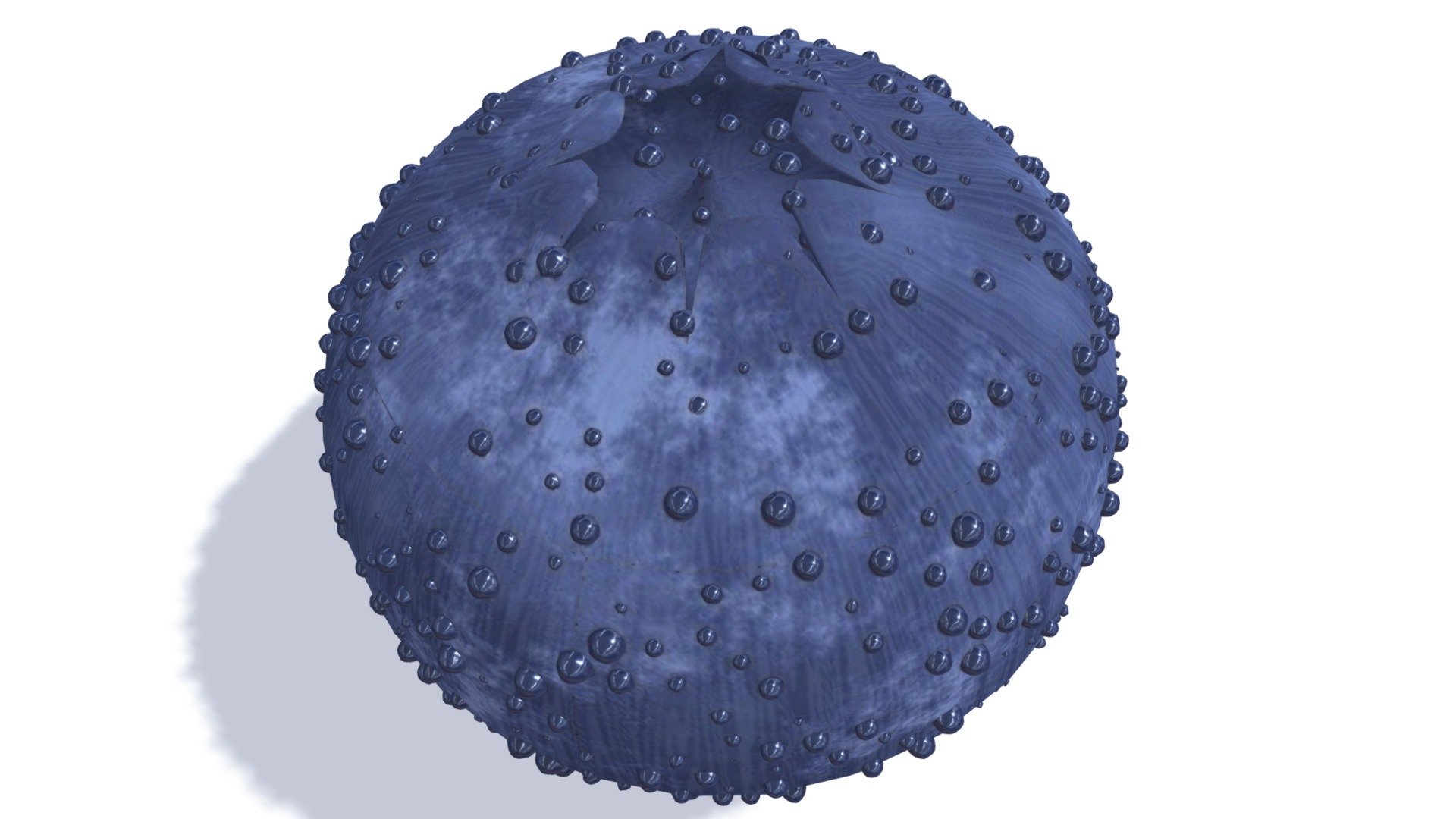 Blueberry Fruit Bounce - Download Free 3D model by Mark Designs ...