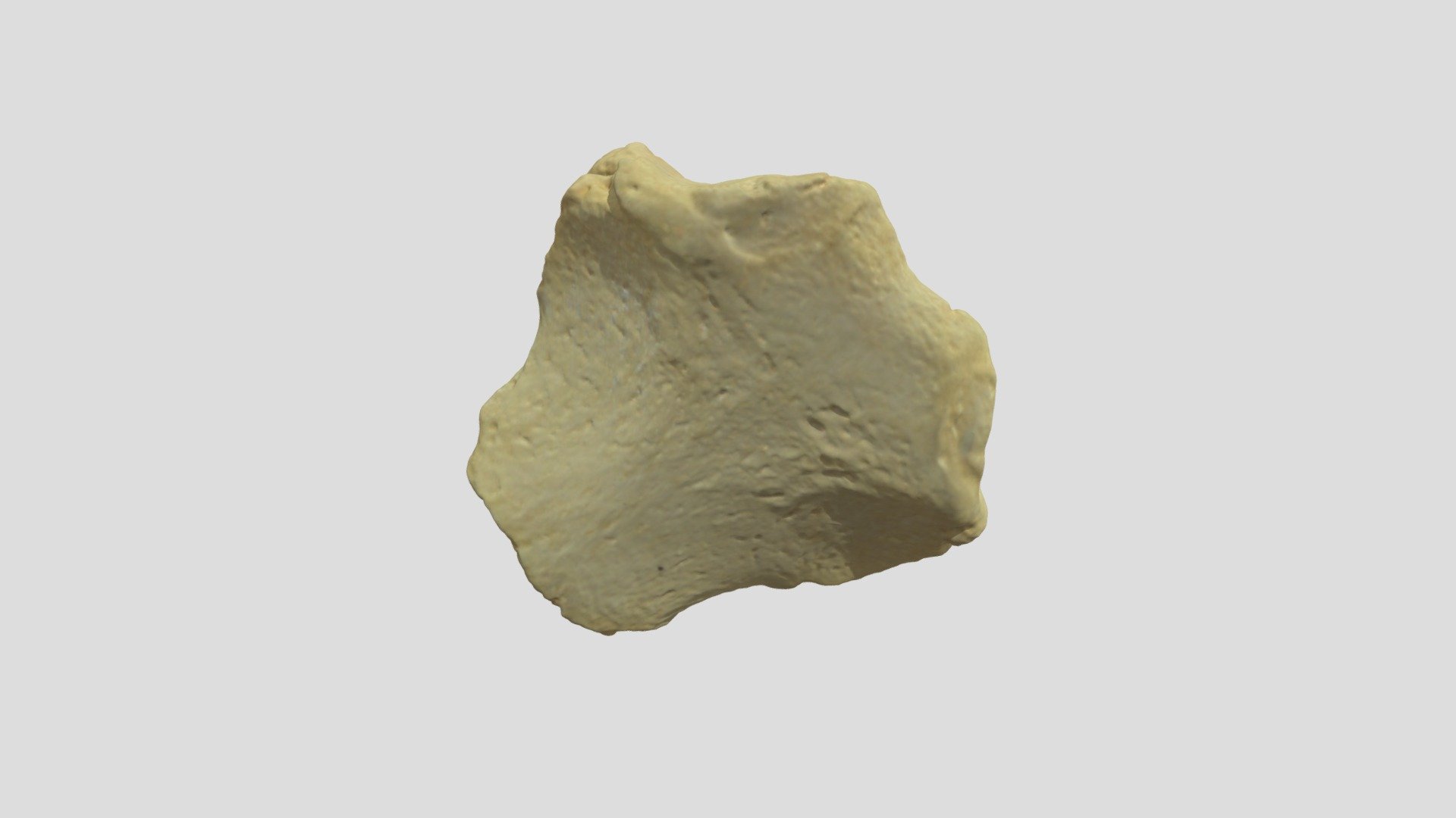 Manubrium 3D - 3D model by ejbauer [a602959] - Sketchfab