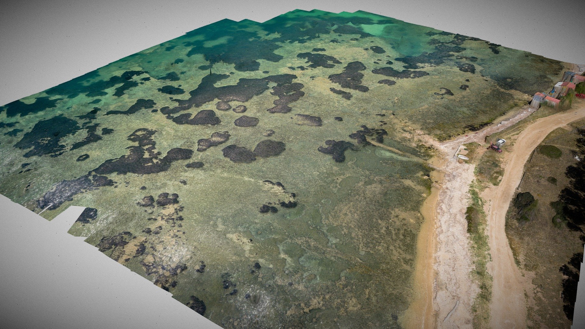 Marine shallow benthic coastal habitats - 3D model by daniele.ventura1 ...