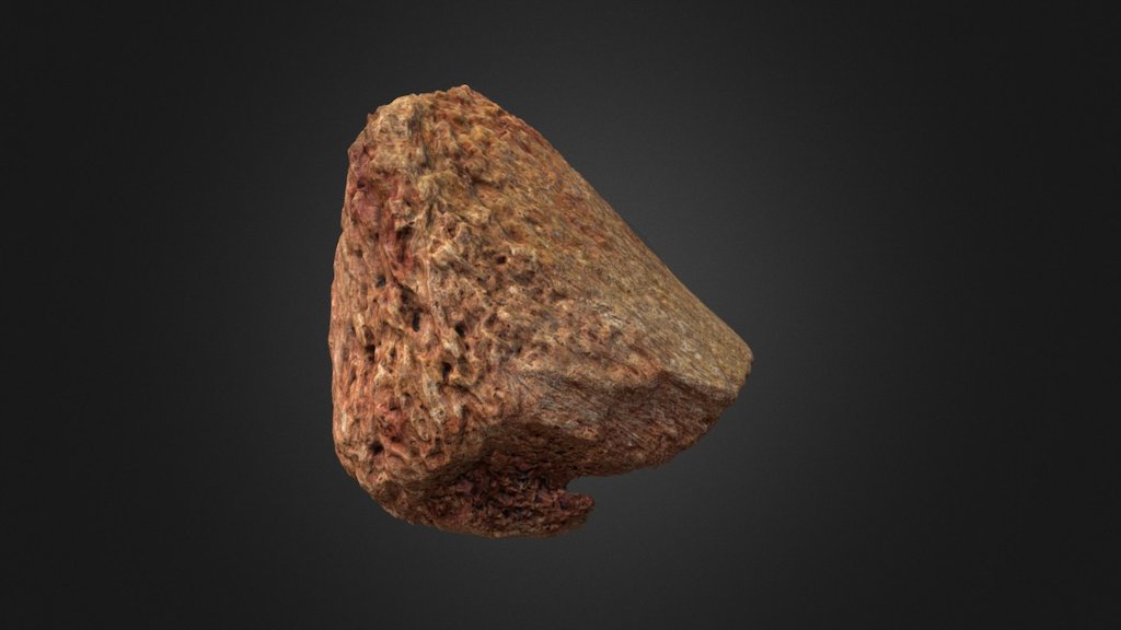 Titanosaur osteoderm? - 3D model by Olof Moleman (@lordtrilobite ...