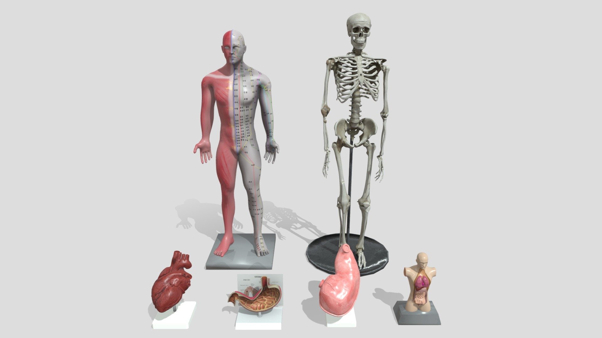 Manikins #1 - Buy Royalty Free 3D model by digikstudio [a61a8ad ...