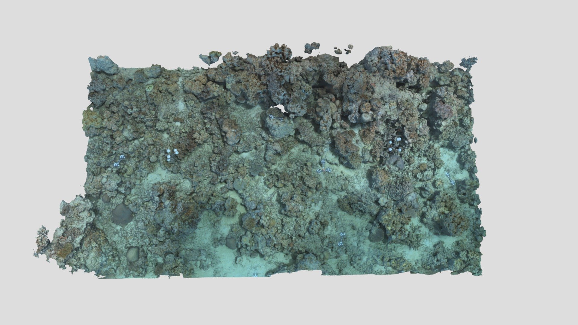 Masig_FR2S_P3_202302 - Download Free 3D model by EcoRRAP (@AIMSEcoRRAP ...