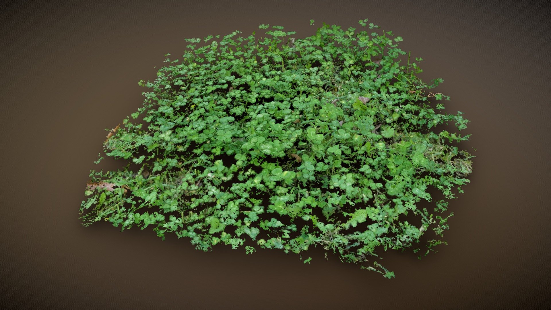 Find the Four Leaf Clover - Download Free 3D model by EveryPoint ...