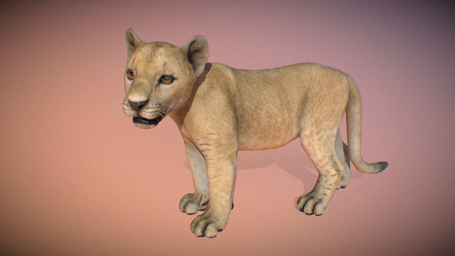 Animalia - Lion (young) - 3D model by GiM (@GamesInMotion) [a62646a ...