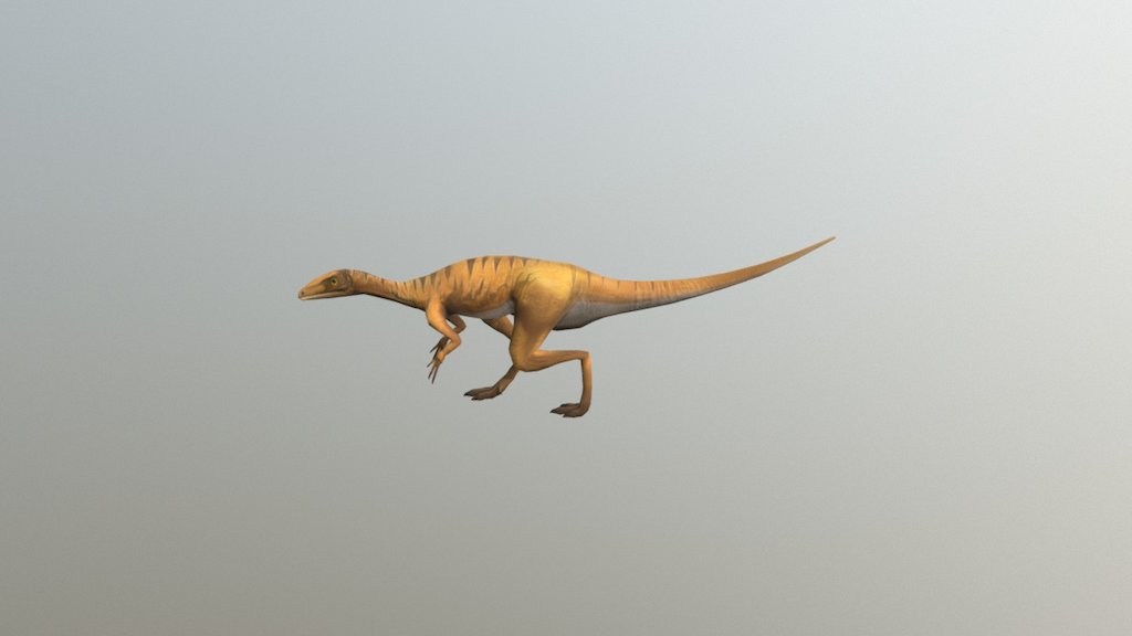 EORAPTOR - 3D model by youtouch [a62779c] - Sketchfab