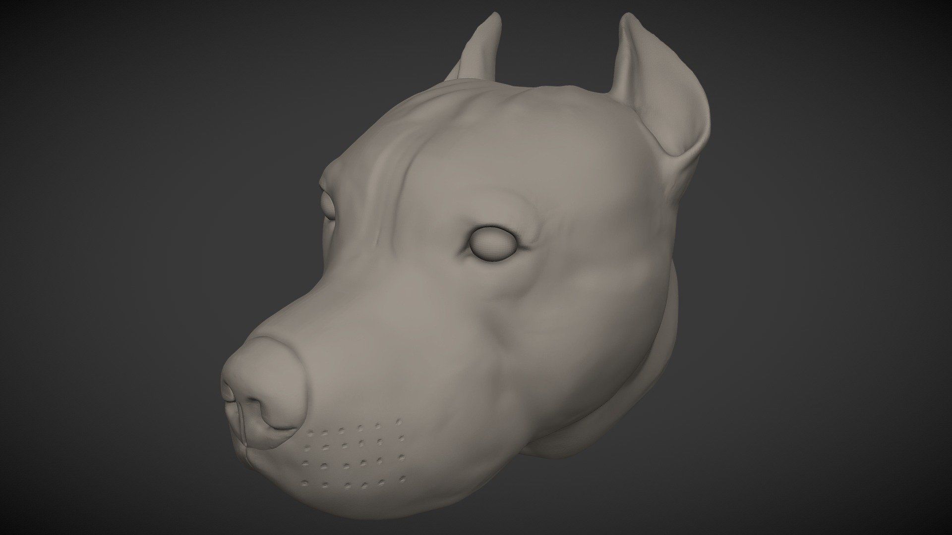 Pitbull head - 3D model by Nestor3D (@anficyon) [a627dc5] - Sketchfab