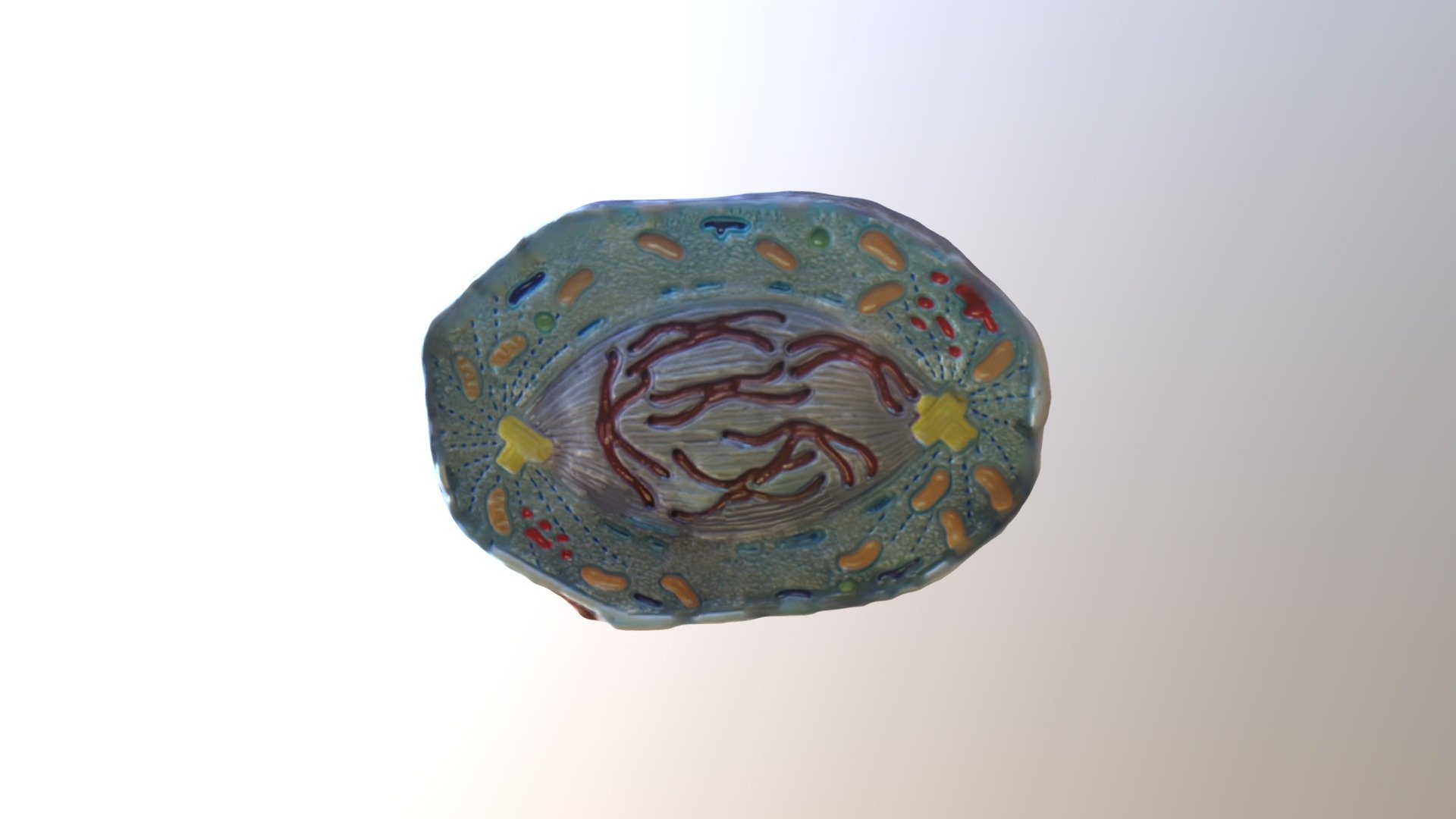 Mitosis Stage 4 - Download Free 3D model by jkane326 [a63544b] - Sketchfab