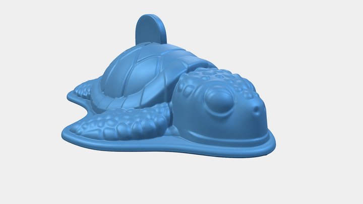 Tortle 3D models - Sketchfab