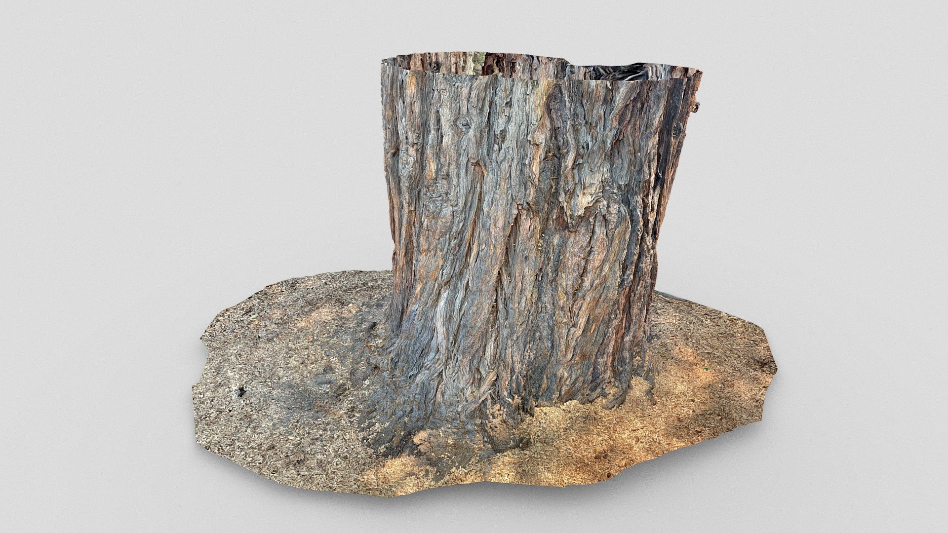 Redwoord tree (nice bark texture) - Download Free 3D model by Emm ...