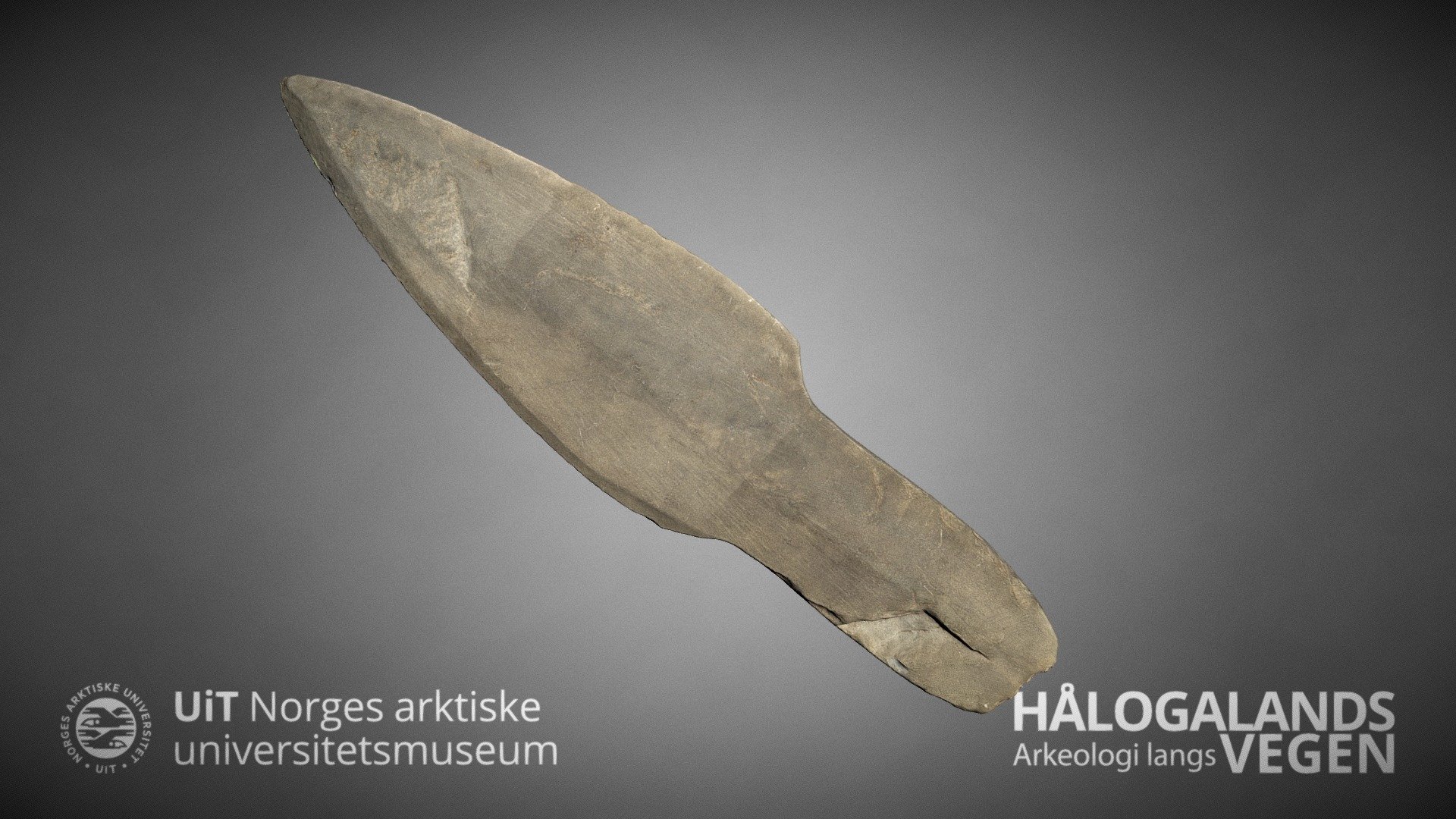 Spets - 3D model by UiT - The Arctic University Museum of Norway ...