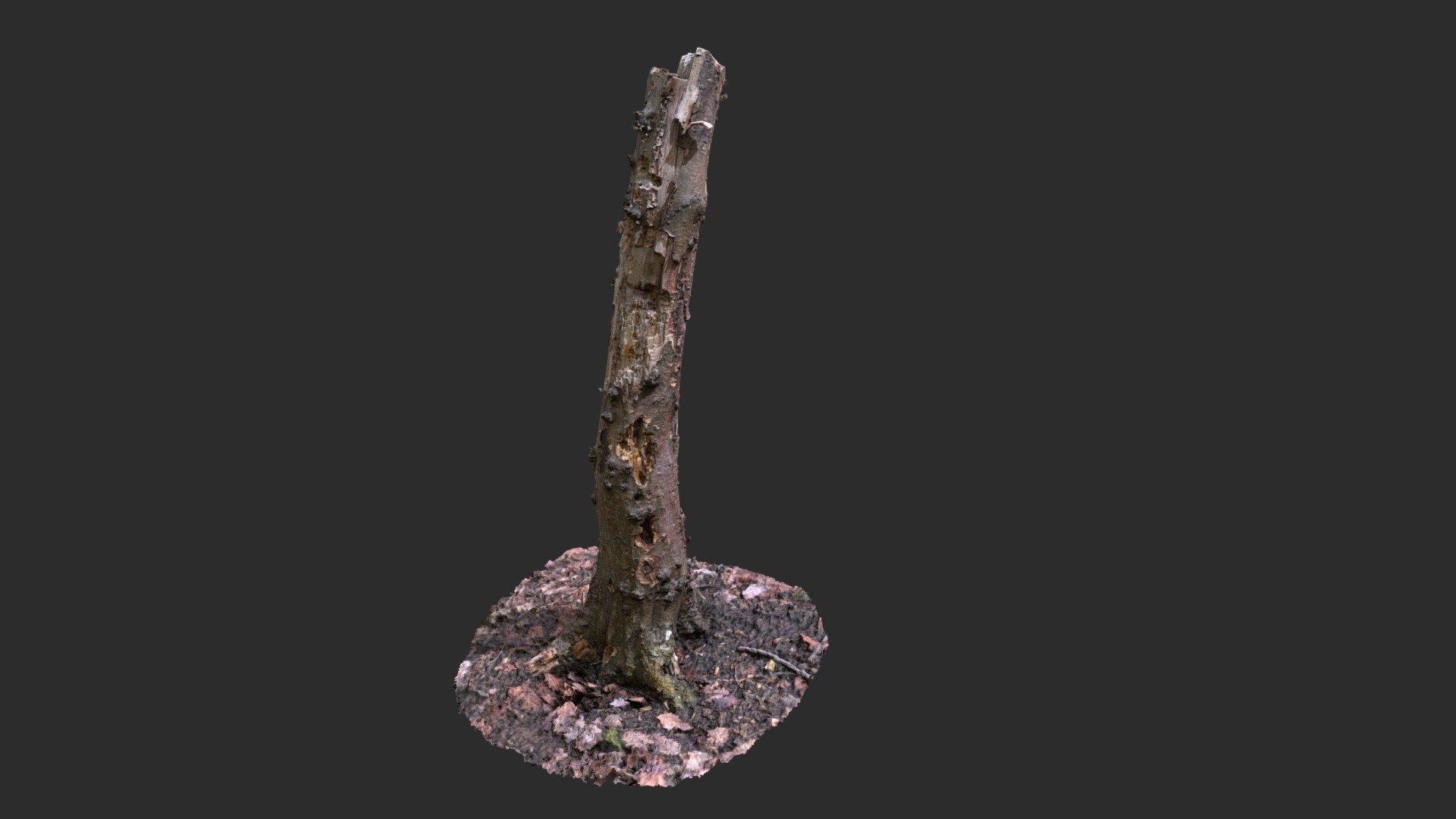Old Tree - Download Free 3D model by imonm9 [a646645] - Sketchfab