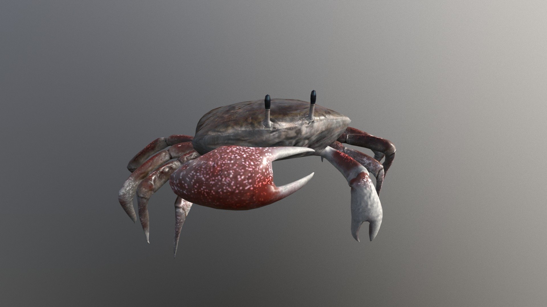 Crab - 3D model by kyleof0214 [a650ca2] - Sketchfab