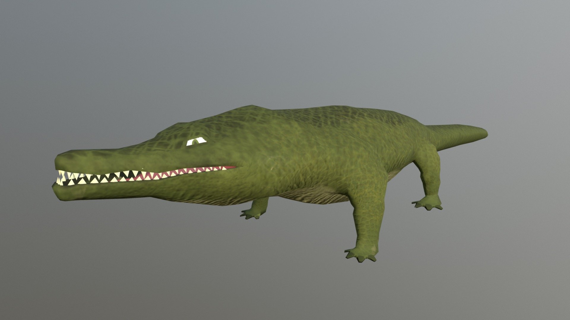Alligator - 3D model by smafdawg [a653071] - Sketchfab