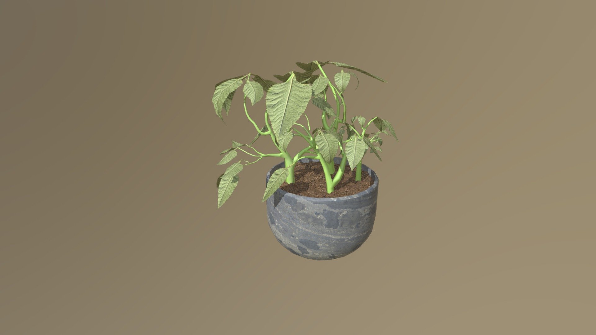 PlantProj - 3D model by davisknight7 [a65d886] - Sketchfab