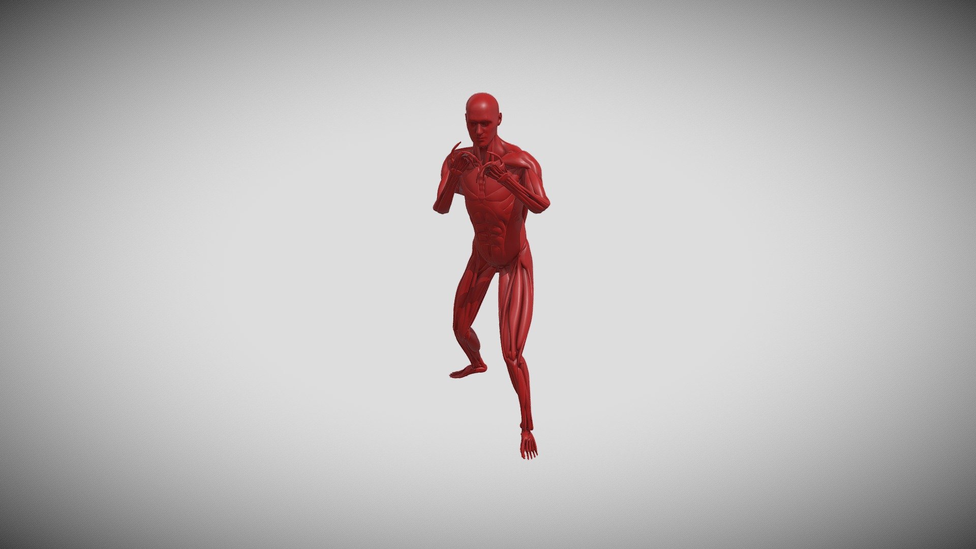 MMA kick - 3D model by Npulford [a660536] - Sketchfab