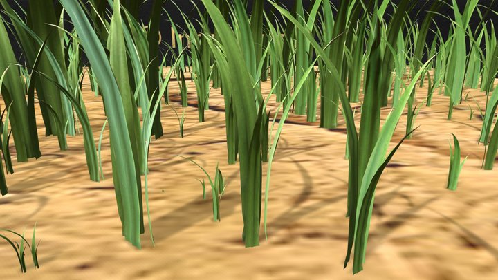Grassland 3D models - Sketchfab