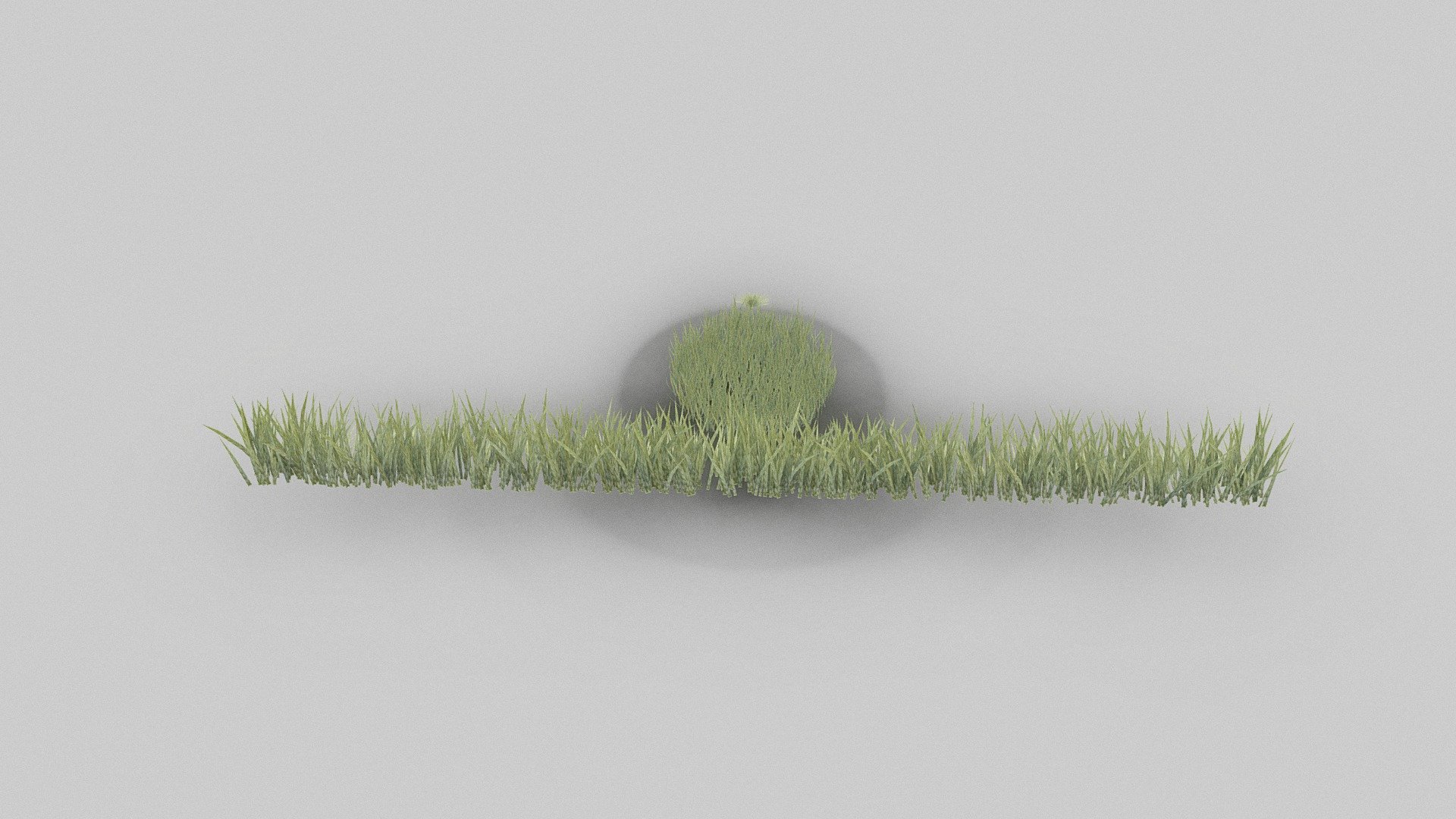 Grass Pack - Buy Royalty Free 3D model by Jerome (dijix009) (@dijix009 ...