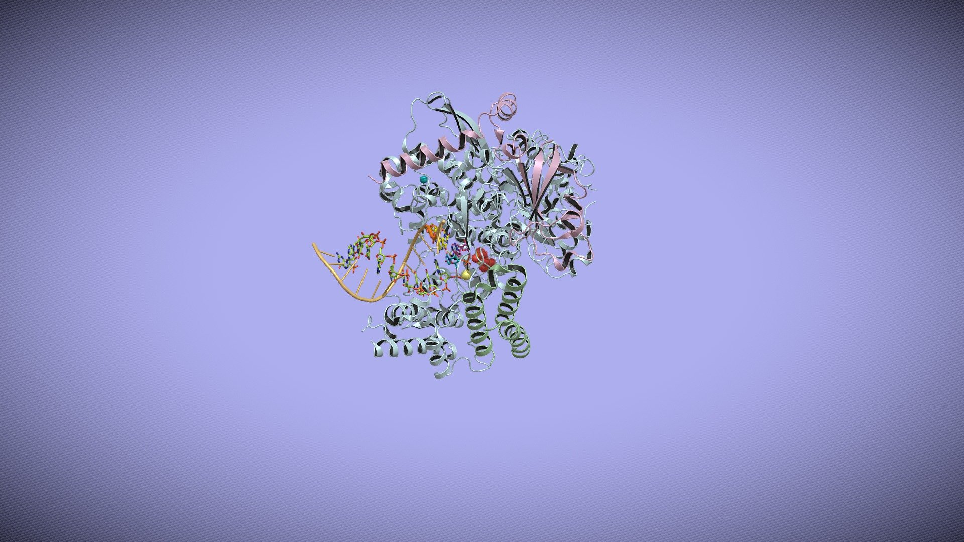 Remdesivir and RNA-Dependent RNA polymerase - 3D model by MichaelaY ...
