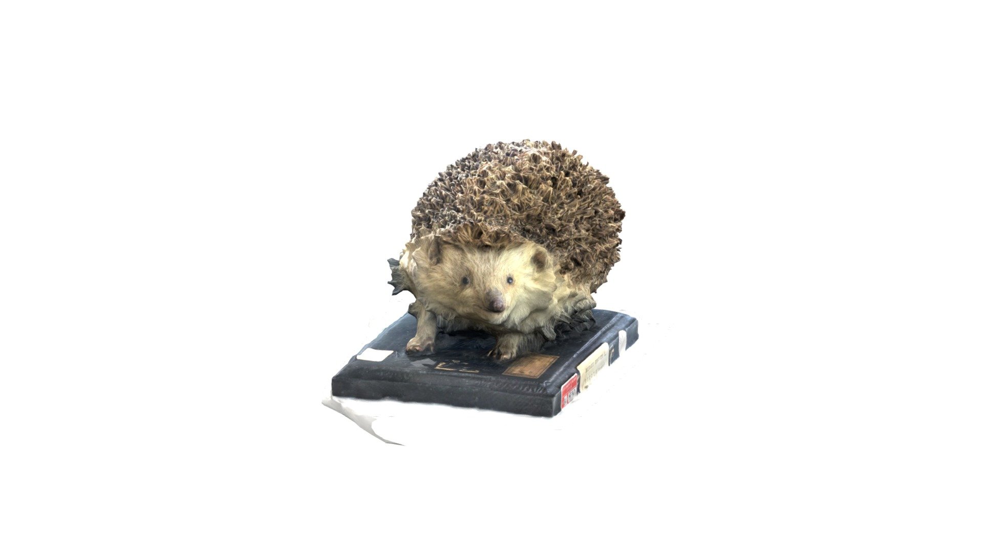 RICCIO-2 - 3D model by Lecce360 [a66de9f] - Sketchfab