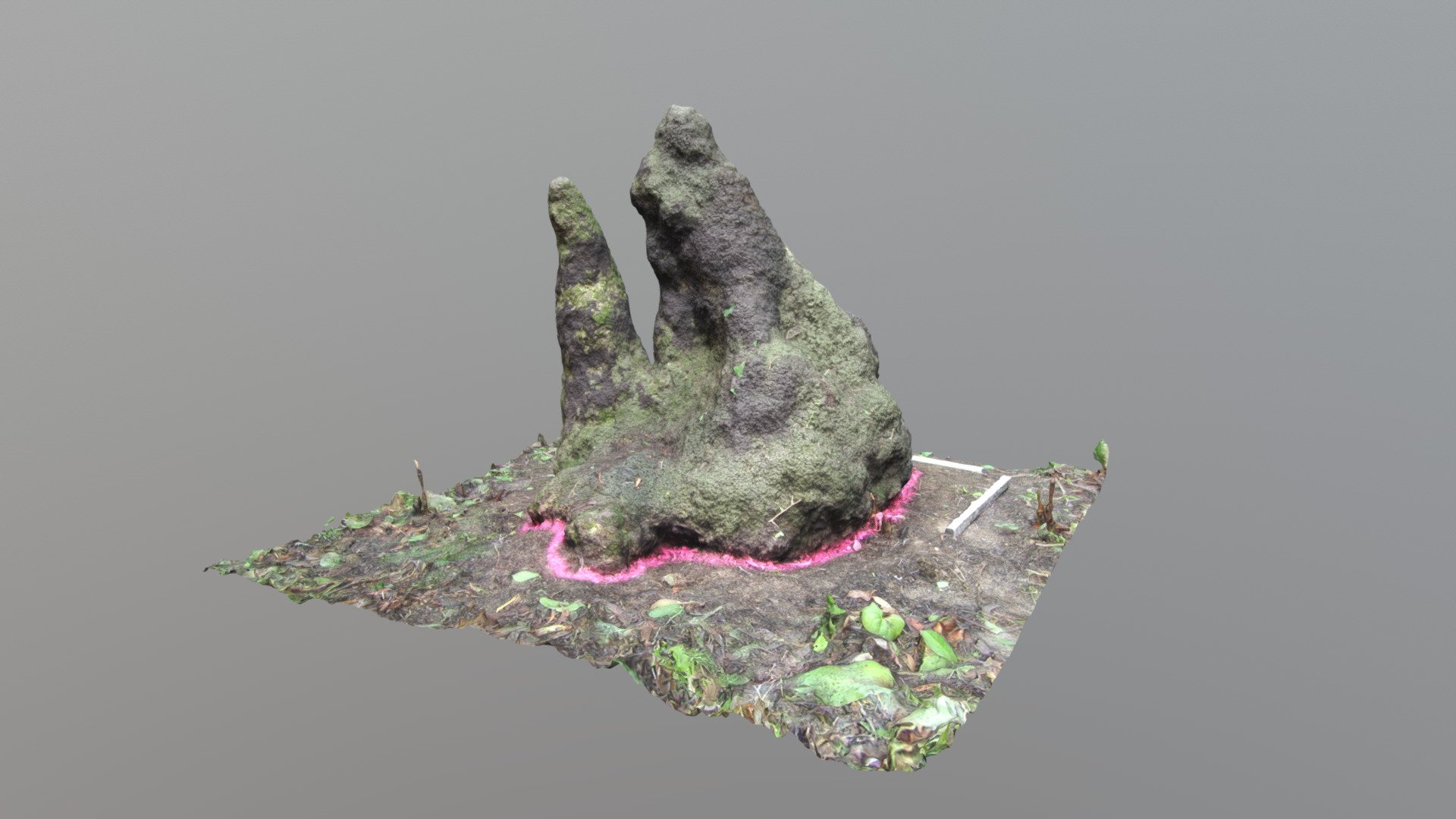 Termite mound Ms10-2016 - 3D model by pnauer [a66e6e8] - Sketchfab