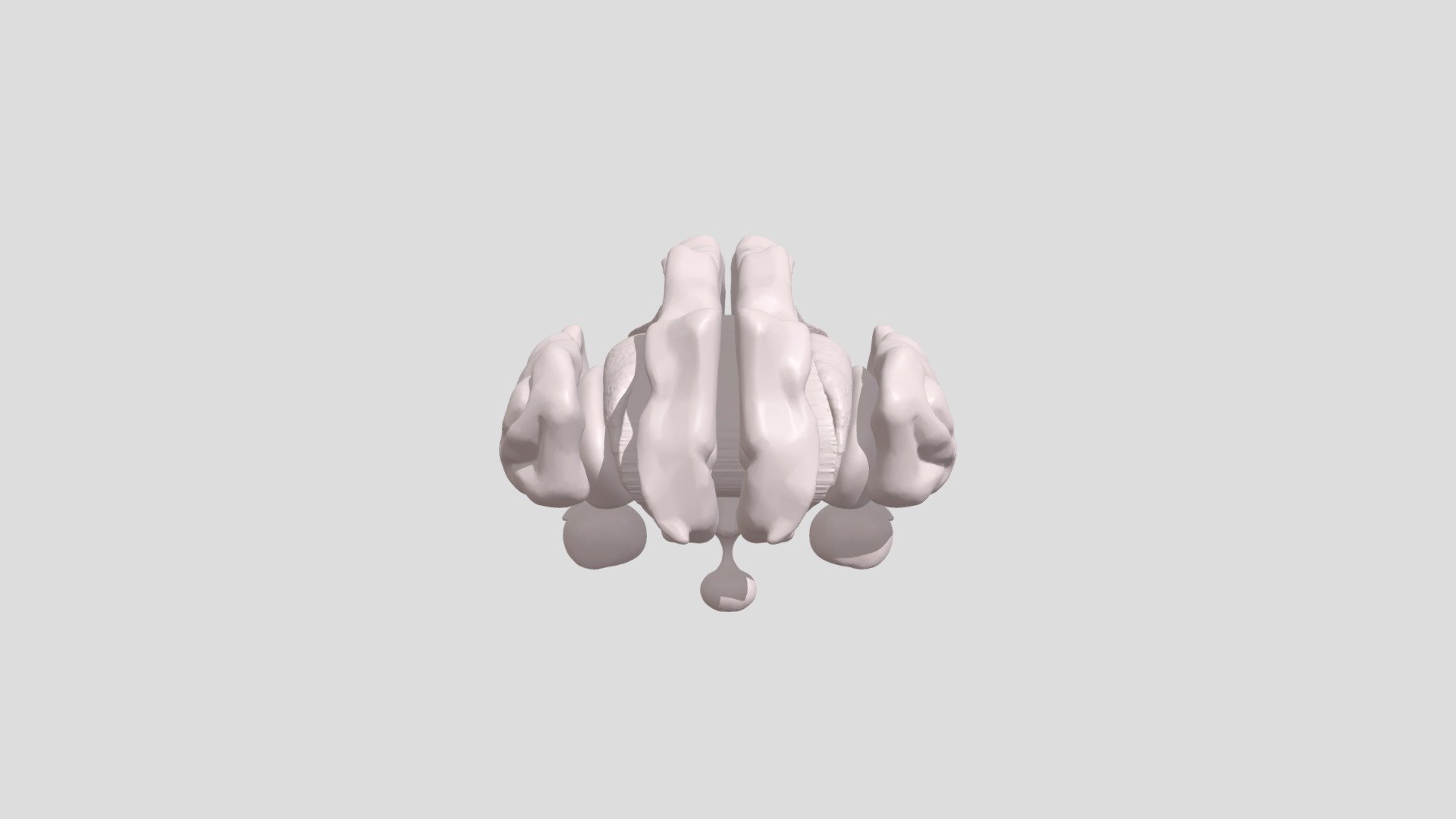 KYN325 Brain: Corpus Callosum - Download Free 3D model by fwild ...