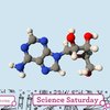 Small Molecule | Adenosine | PubChem CID 60961 - Download Free 3D model ...