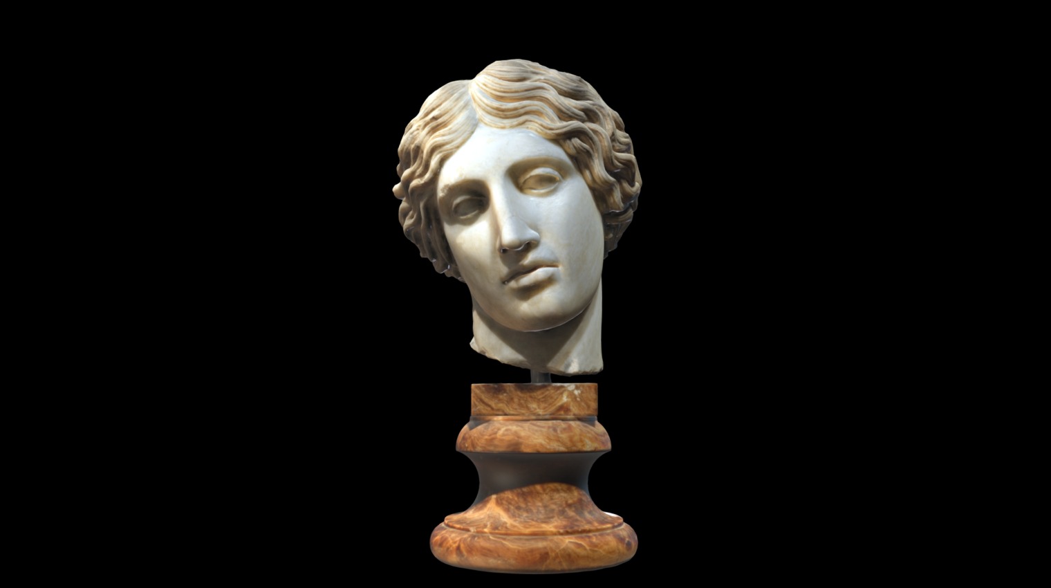 Head of an Amazon - 3D model by Matthew Brennan (@matthewbrennan ...