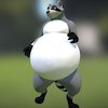 Fat Raccoon - Download Free 3D model by Killer O (@KillerOz1) [a688de9 ...