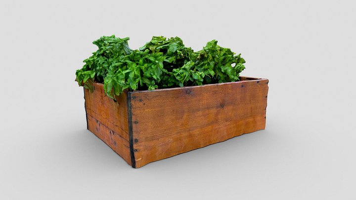 Planterbox 3D models - Sketchfab
